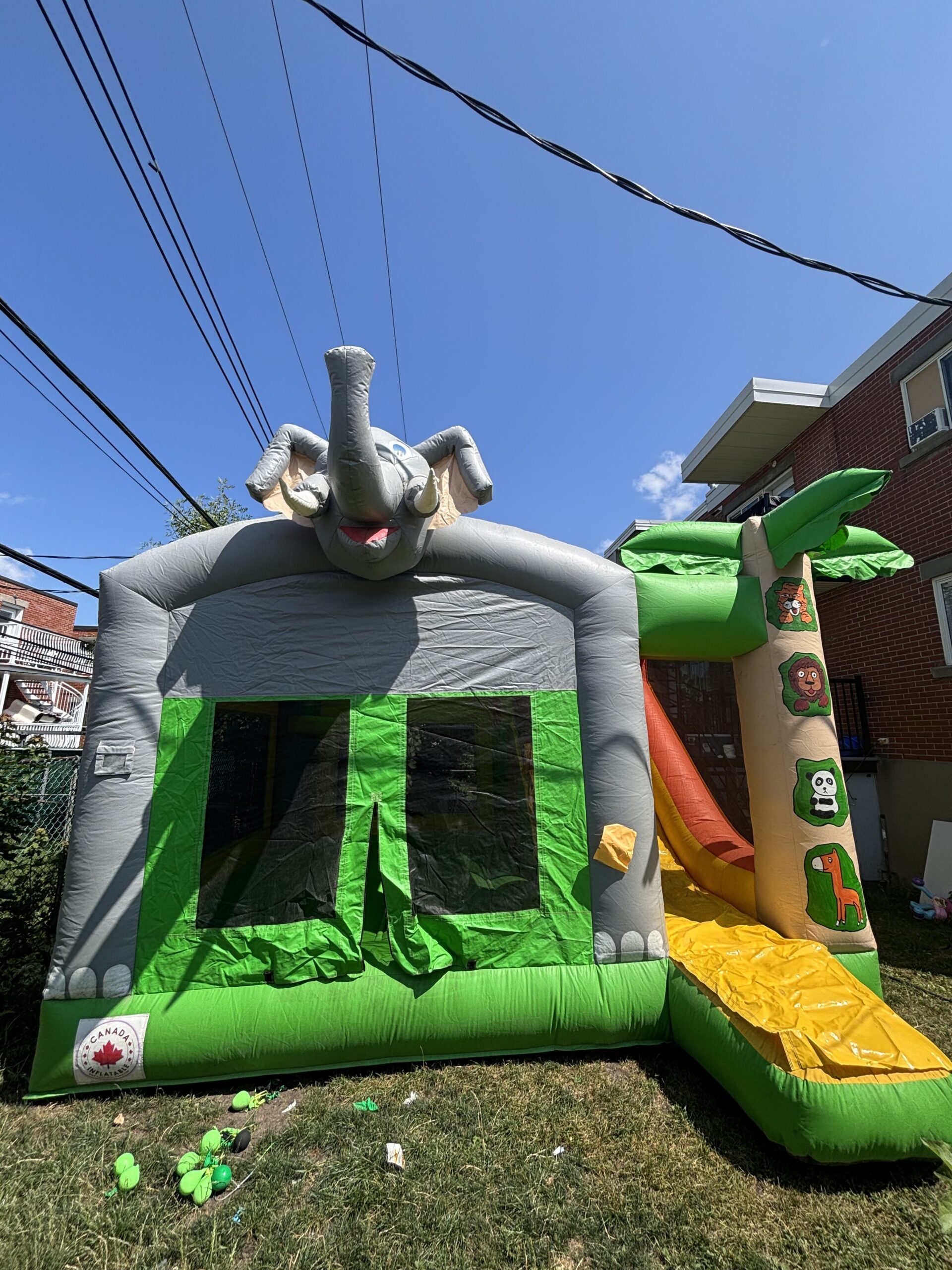 L'éléphant - Fun O Max Location