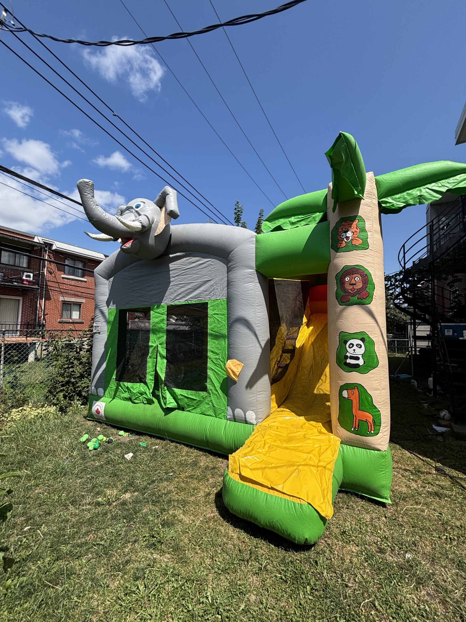 L'éléphant - Fun O Max Location